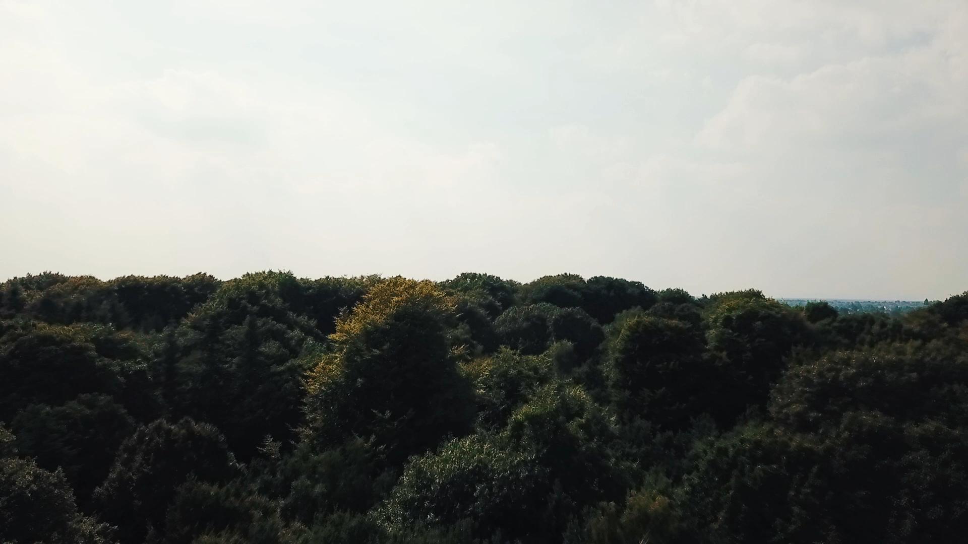 Startseite - helcotec